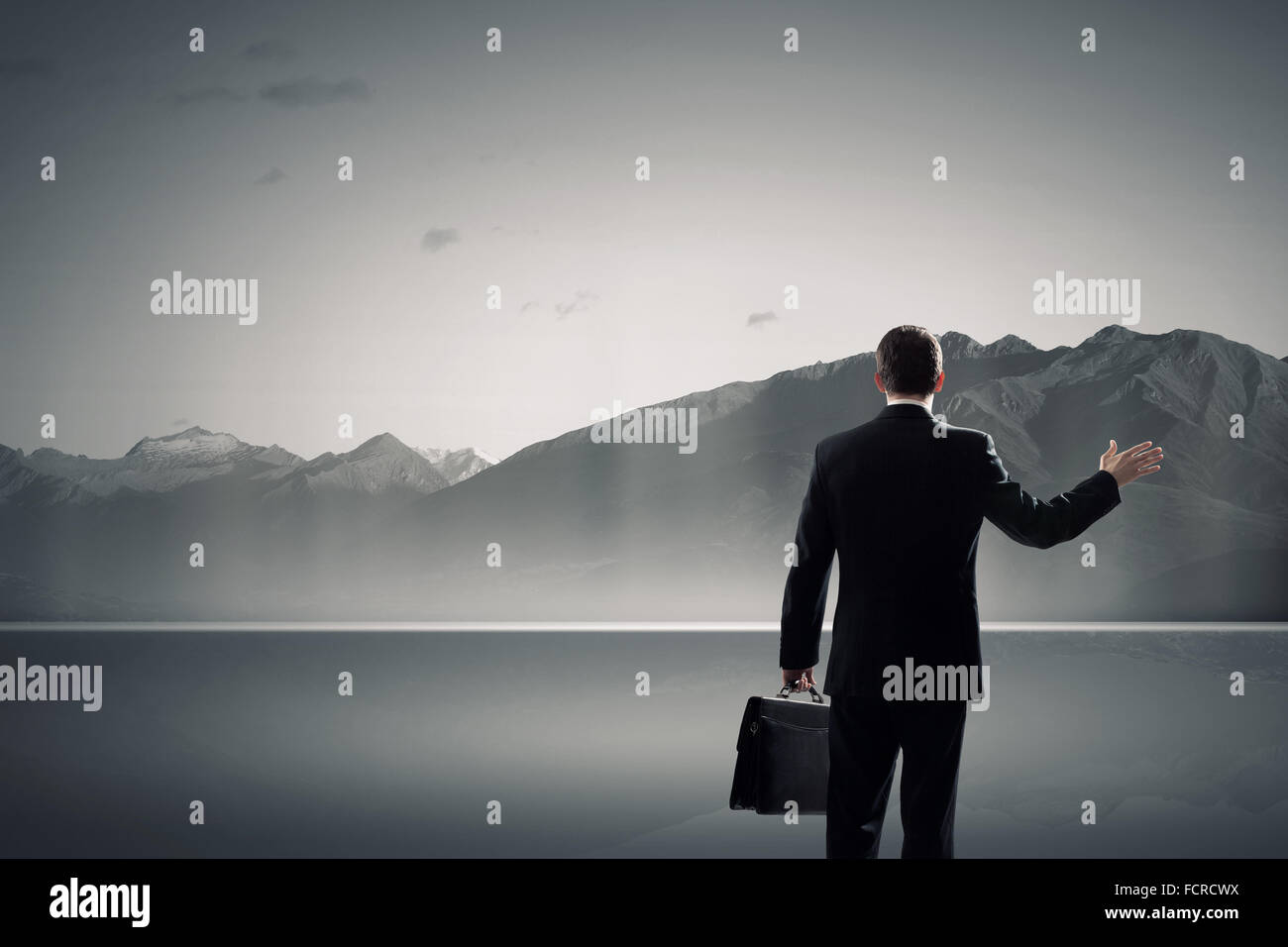 Rear view of businessman looking at picturesque nature landscape Stock ...