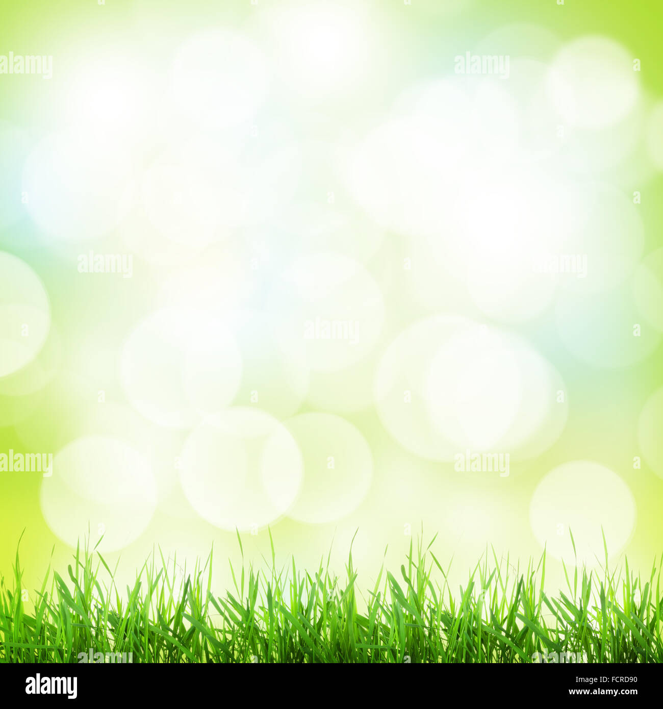 Abstract sunny spring background with grass hi-res stock photography ...