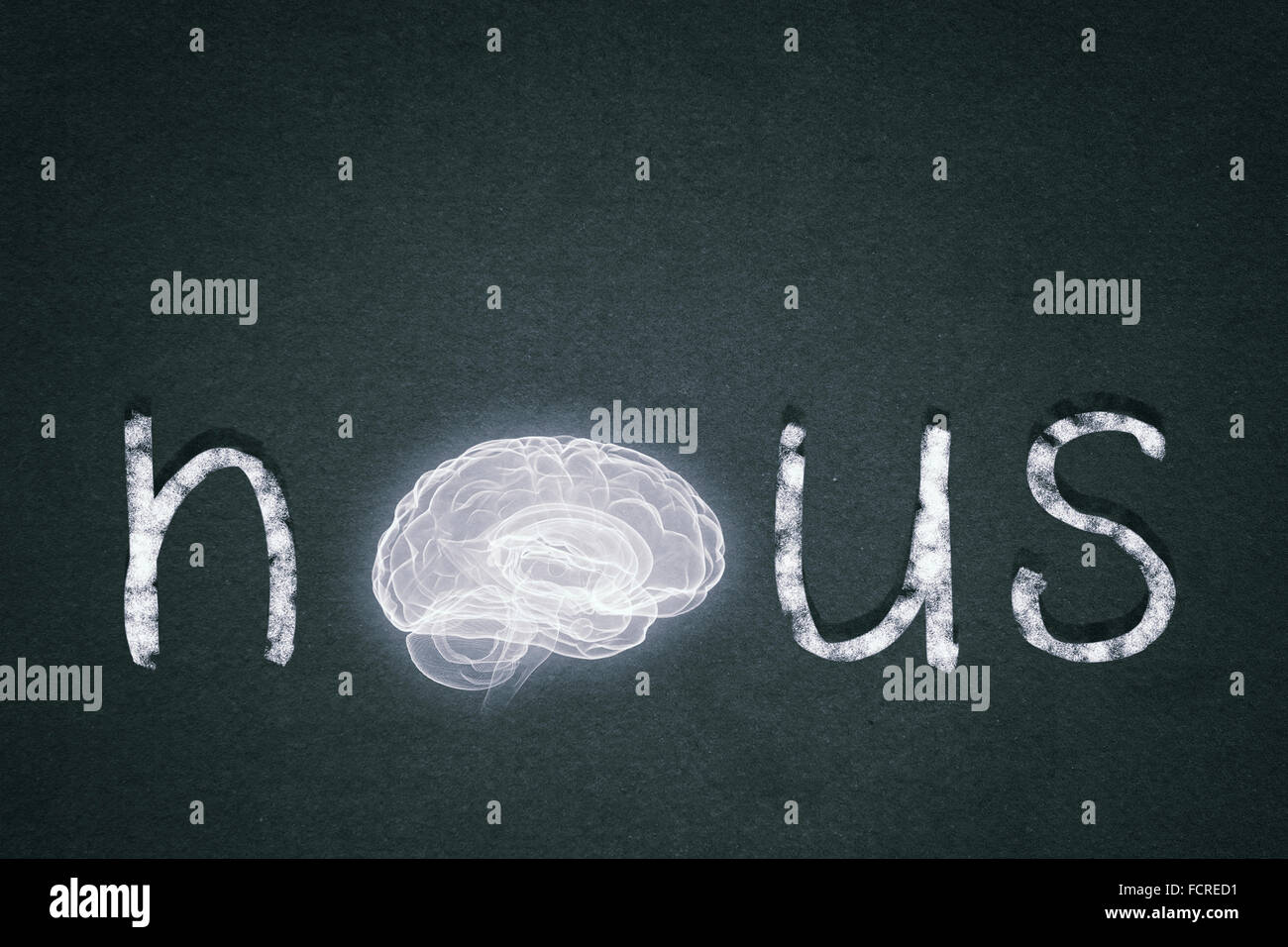 Word nous with brain instead of letter O Stock Photo - Alamy