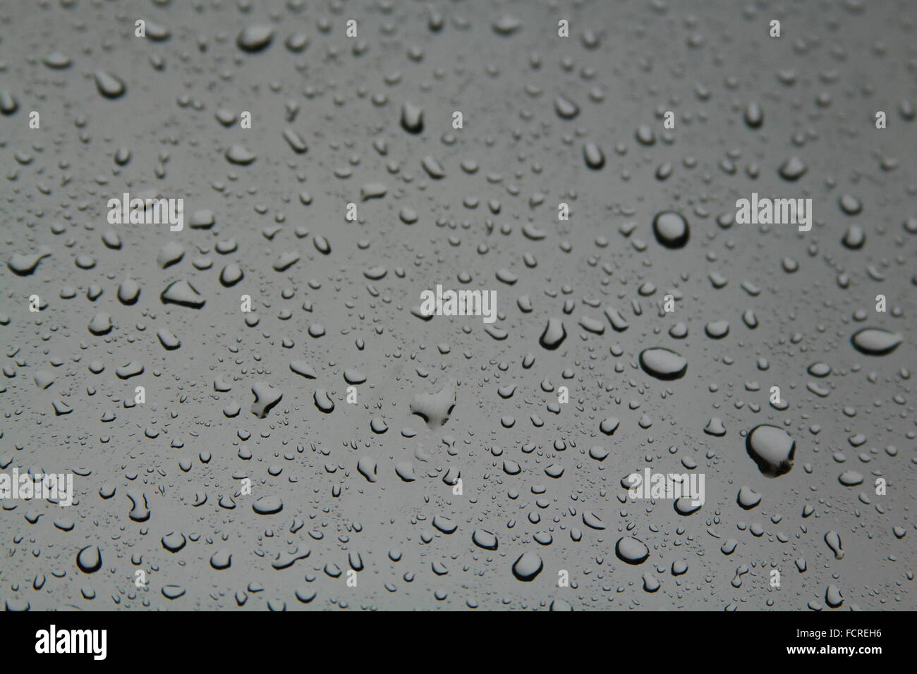 Spherical water droplets on a piece of glass during a rainstorm Stock ...