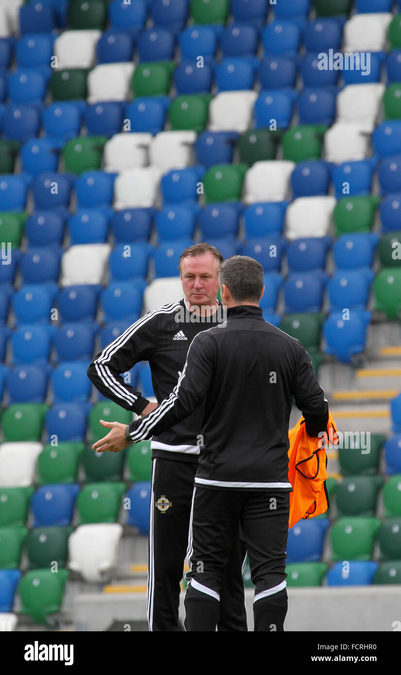 Northern Ireland international football manager Michael O'Neill (facing ...
