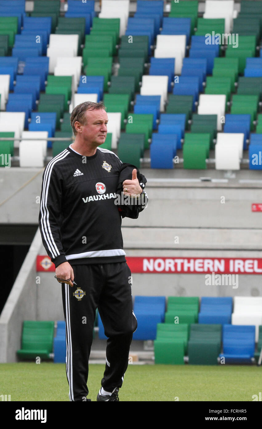 Northern Ireland international football manager Michael O'Neill ahead ...
