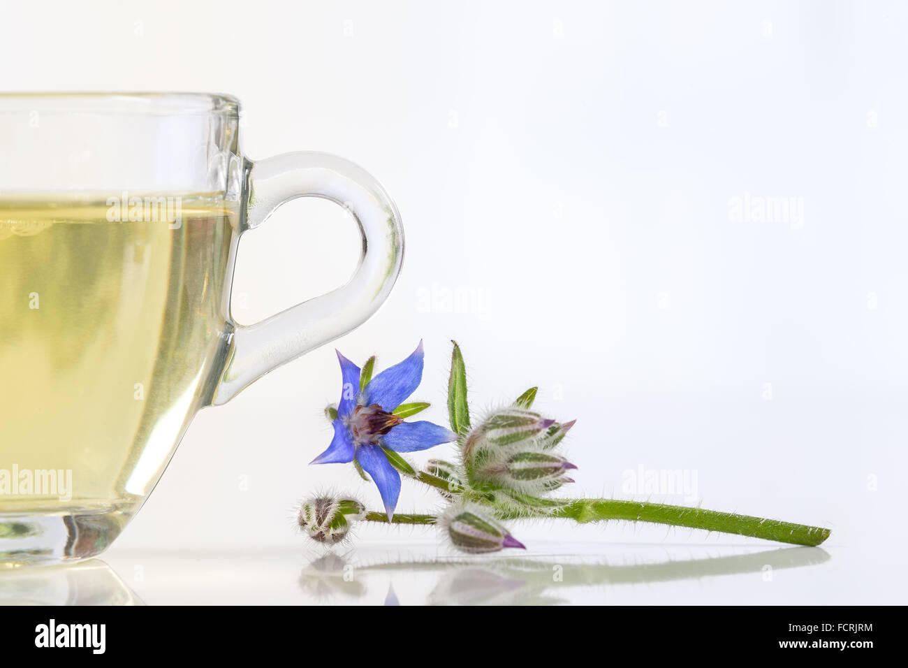 Glass cup with borage tea and flowers Stock Photo - Alamy