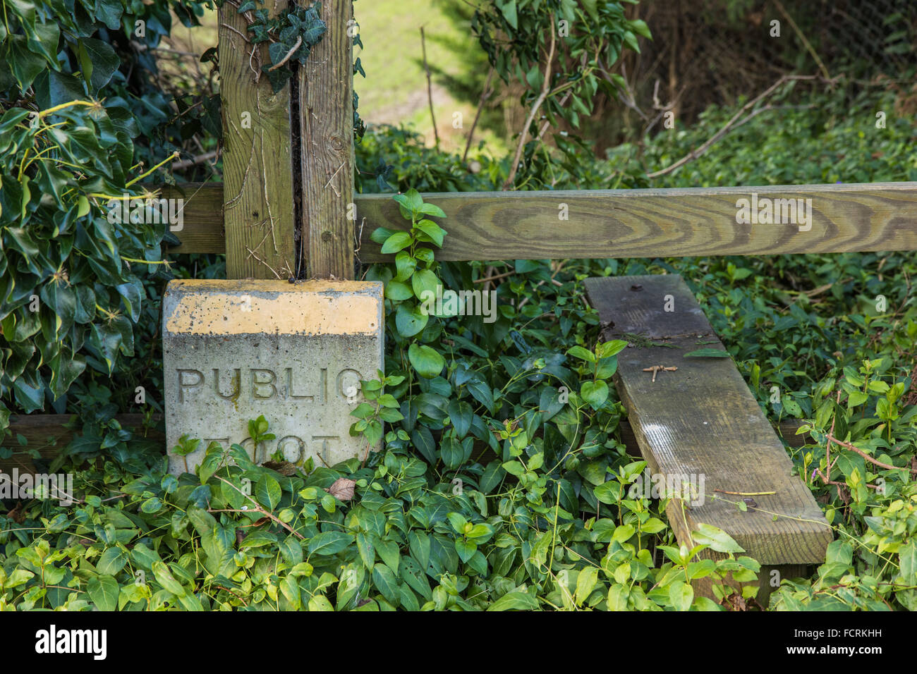 A public footpath partially hidden in the undergrowth Stock Photo - Alamy