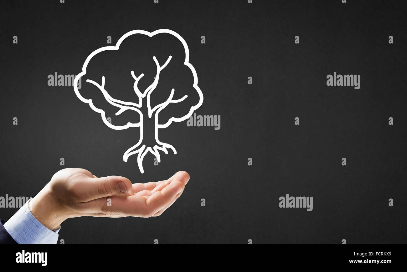 Close up of businessman hand holding drawn tree sign Stock Photo - Alamy