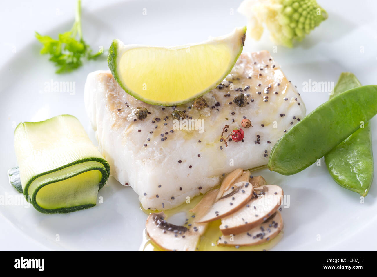 Atlantic cod fish hi-res stock photography and images - Alamy