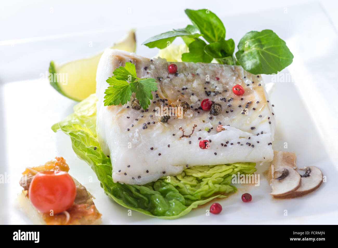 Atlantic cod fish hi-res stock photography and images - Alamy