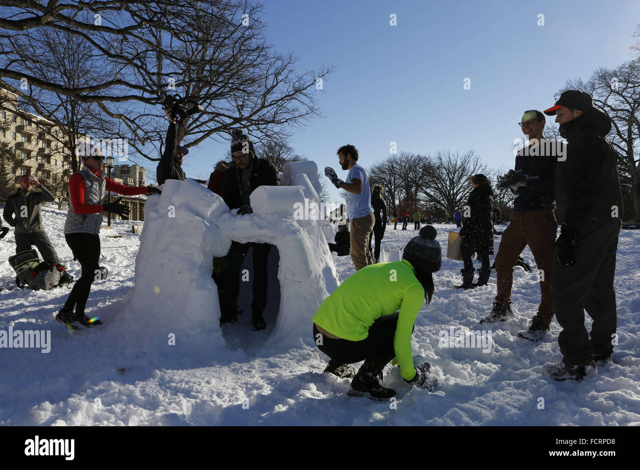 Washington, D.C, USA. 24th Jan, 2016. DC residents build an igloo in ...
