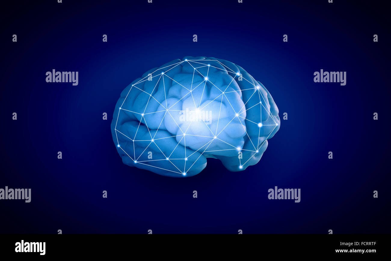 Concept of human intelligence with human brain on blue background Stock ...