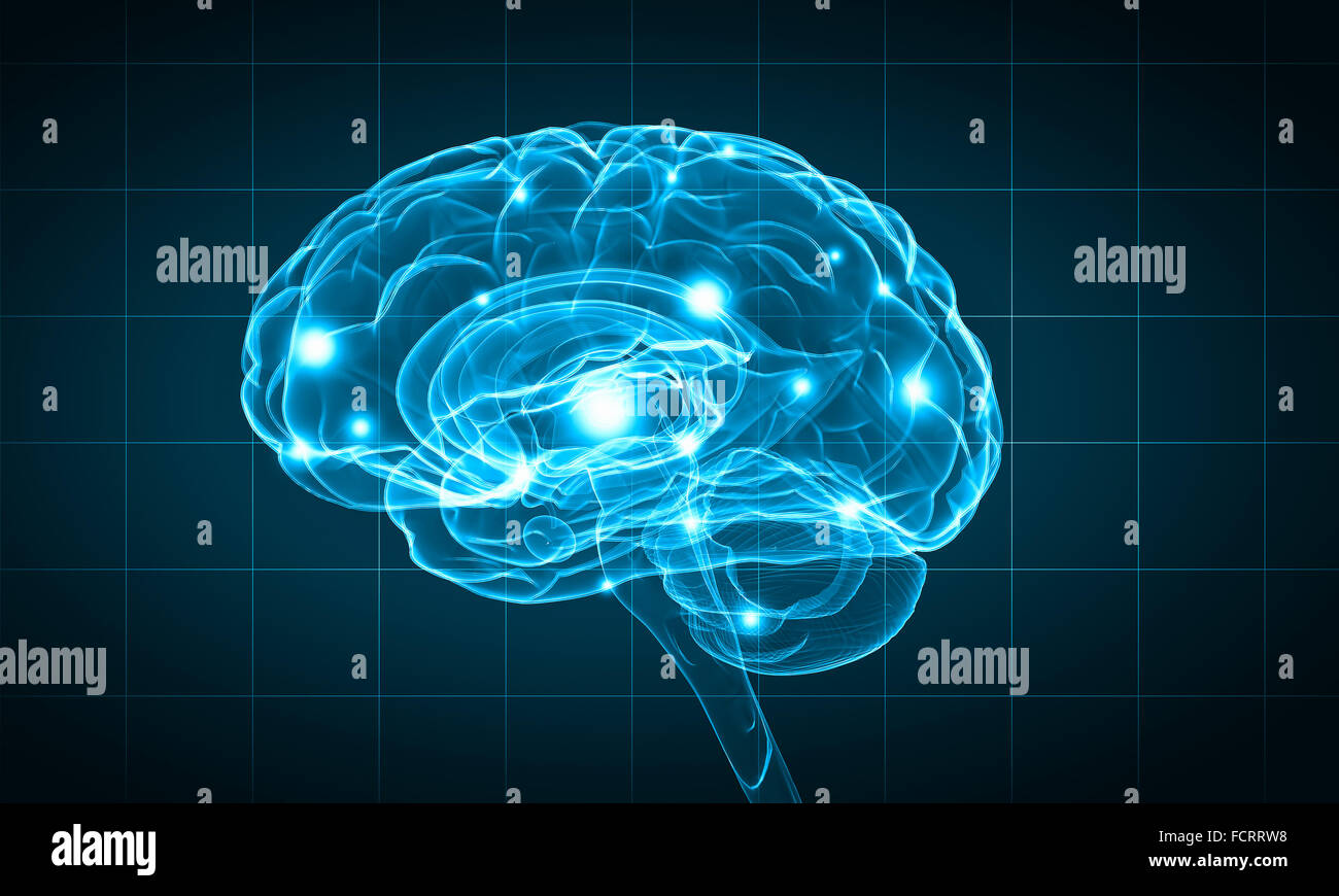Concept of human intelligence with human brain on blue background Stock ...