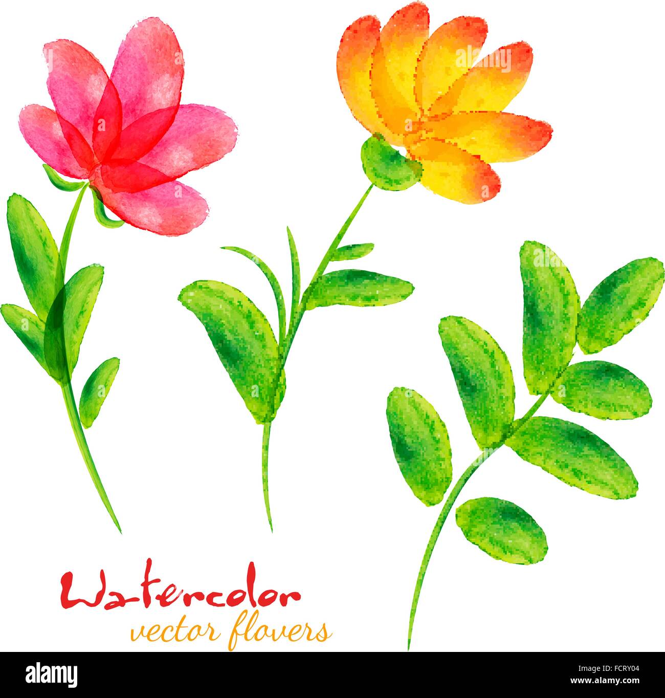 Bright watercolor painted vector flowers set Stock Vector Image & Art ...