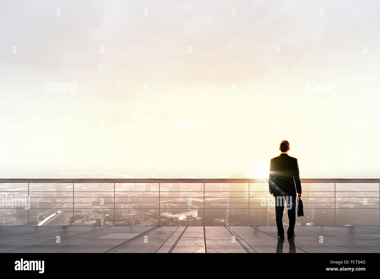 Back view of businessman standing on roof looking at city Stock Photo ...