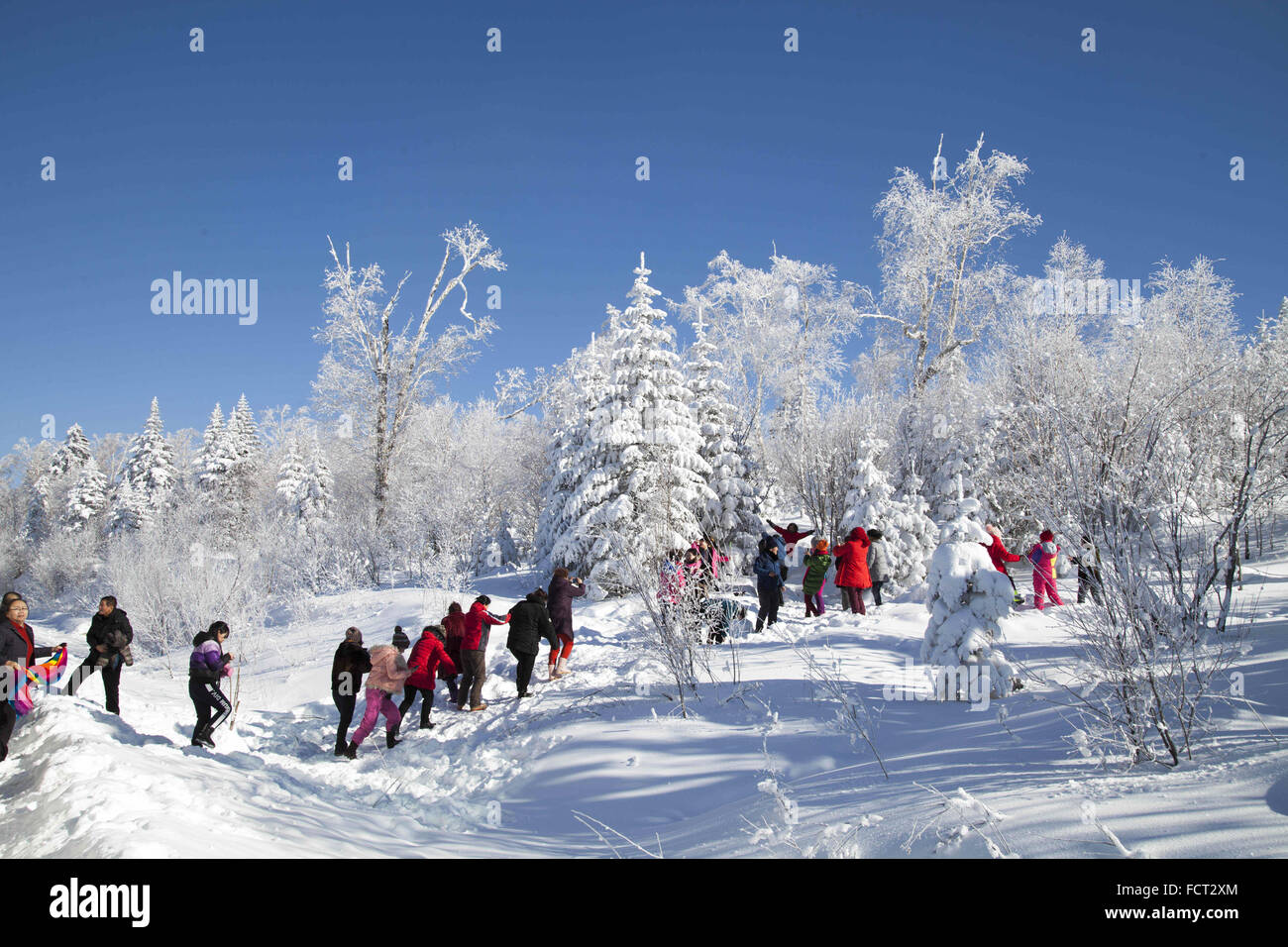 Hailin, Hailin, CHN. 23rd Jan, 2016. Beautiful views of ice and snow in ...