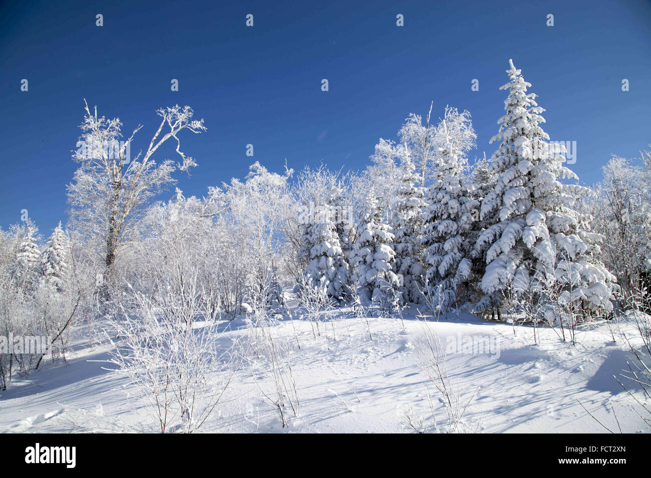 Hailin, Hailin, CHN. 23rd Jan, 2016. Beautiful views of ice and snow in ...