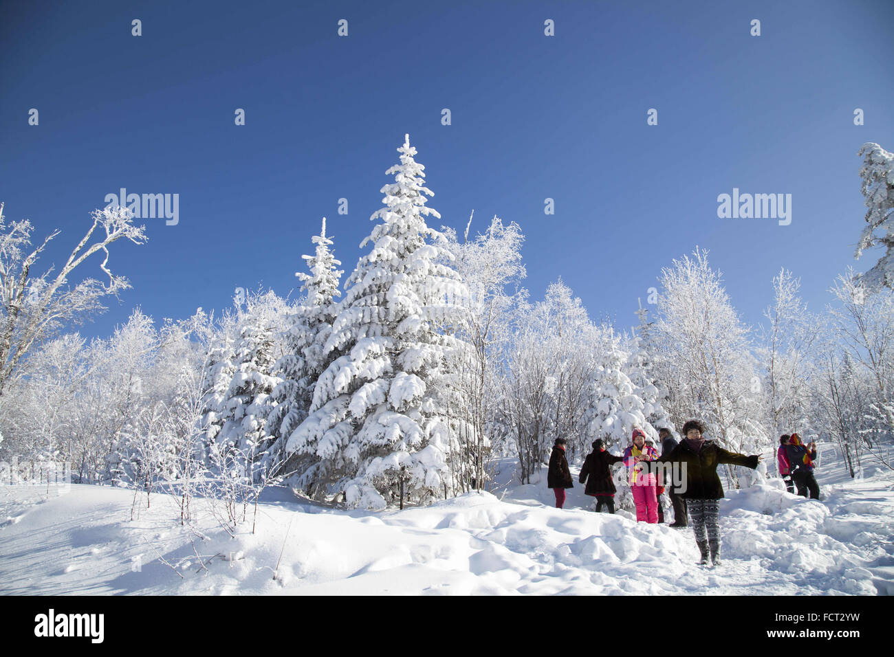 Hailin, Hailin, CHN. 23rd Jan, 2016. Beautiful views of ice and snow in ...