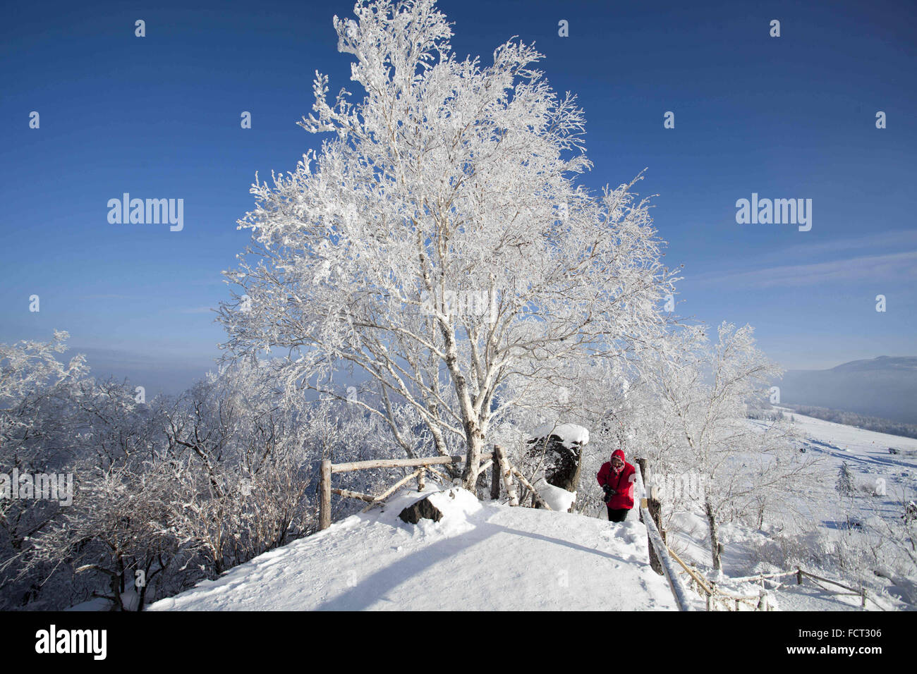 Hailin, Hailin, CHN. 23rd Jan, 2016. Beautiful views of ice and snow in ...
