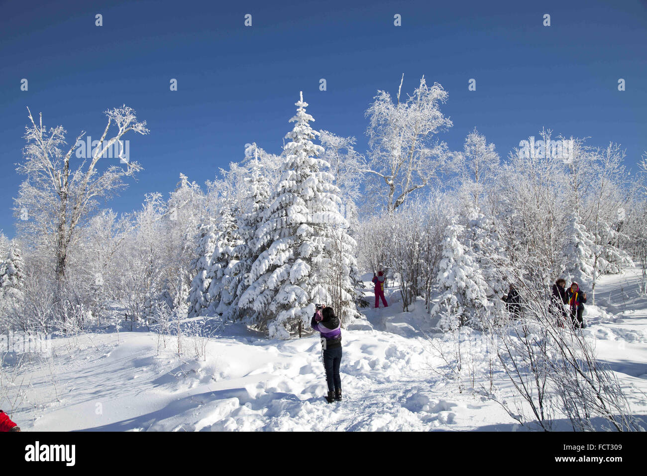 Hailin, Hailin, CHN. 23rd Jan, 2016. Beautiful views of ice and snow in ...