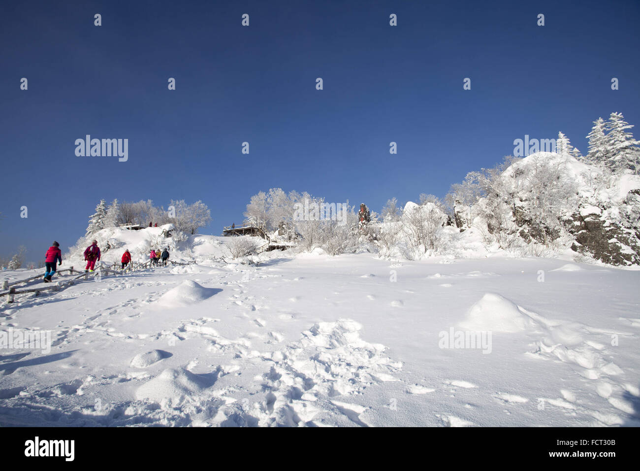Hailin, Hailin, CHN. 23rd Jan, 2016. Beautiful views of ice and snow in ...