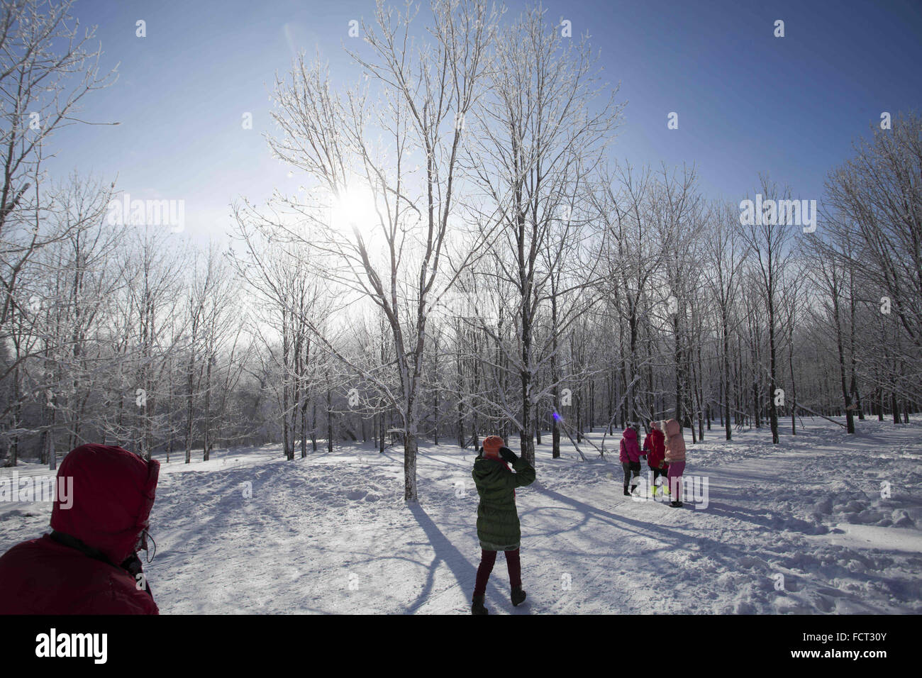 Hailin, Hailin, CHN. 23rd Jan, 2016. Beautiful views of ice and snow in ...