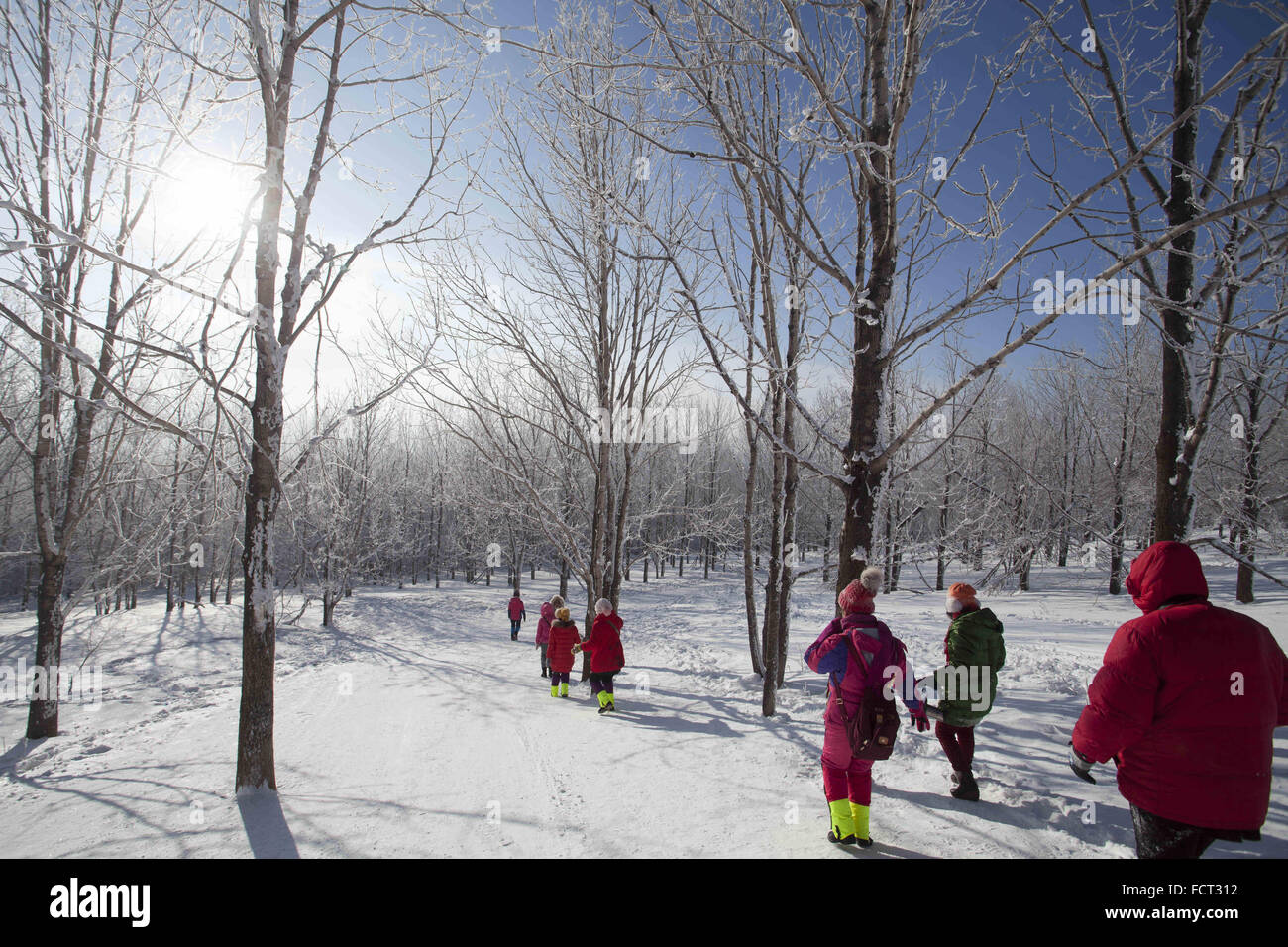 Hailin, Hailin, CHN. 23rd Jan, 2016. Beautiful views of ice and snow in ...