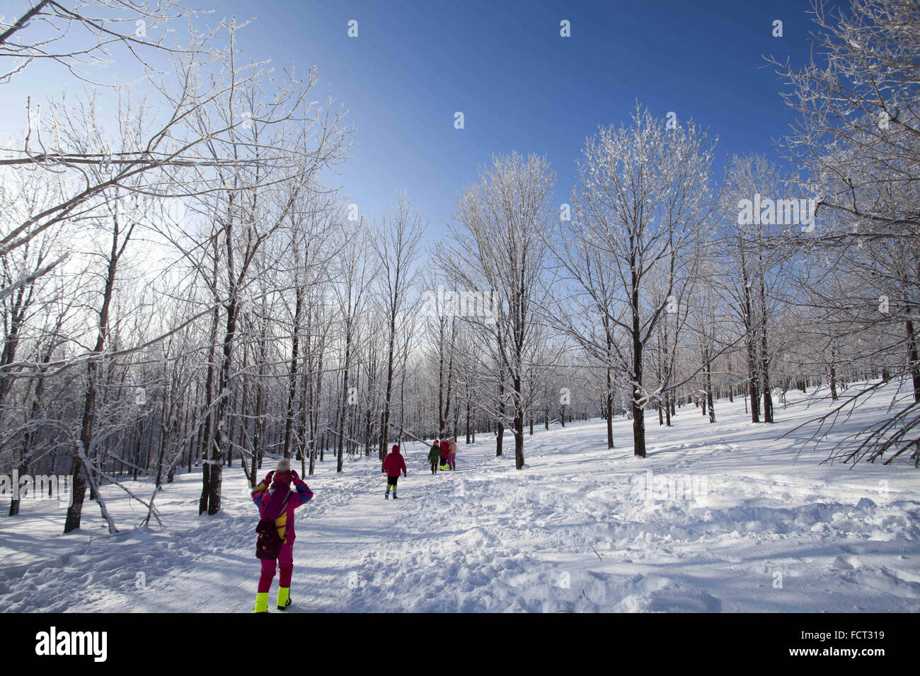 Hailin, Hailin, CHN. 23rd Jan, 2016. Beautiful views of ice and snow in ...