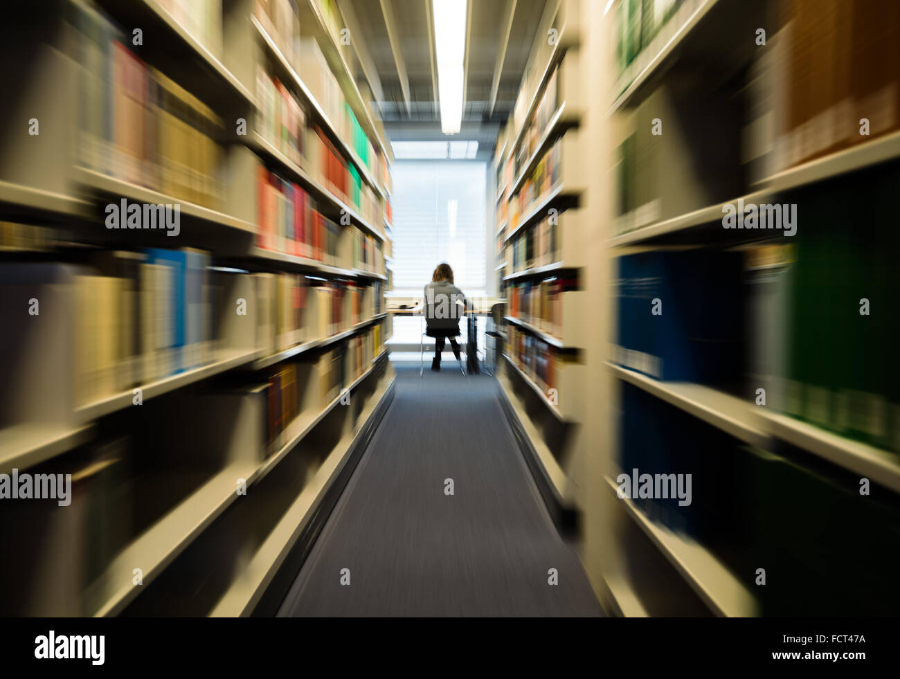 A student of Bayreuth University sits with her laptop in the university ...
