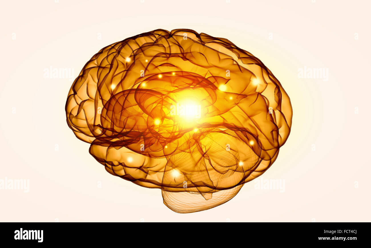 Science image with human brain on white background Stock Photo - Alamy