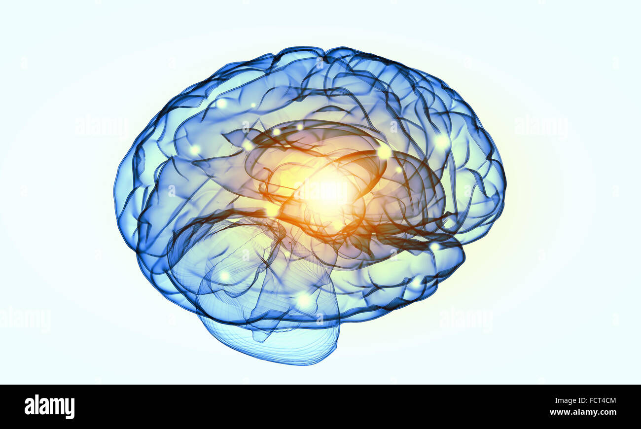 Science image with human brain on white background Stock Photo - Alamy