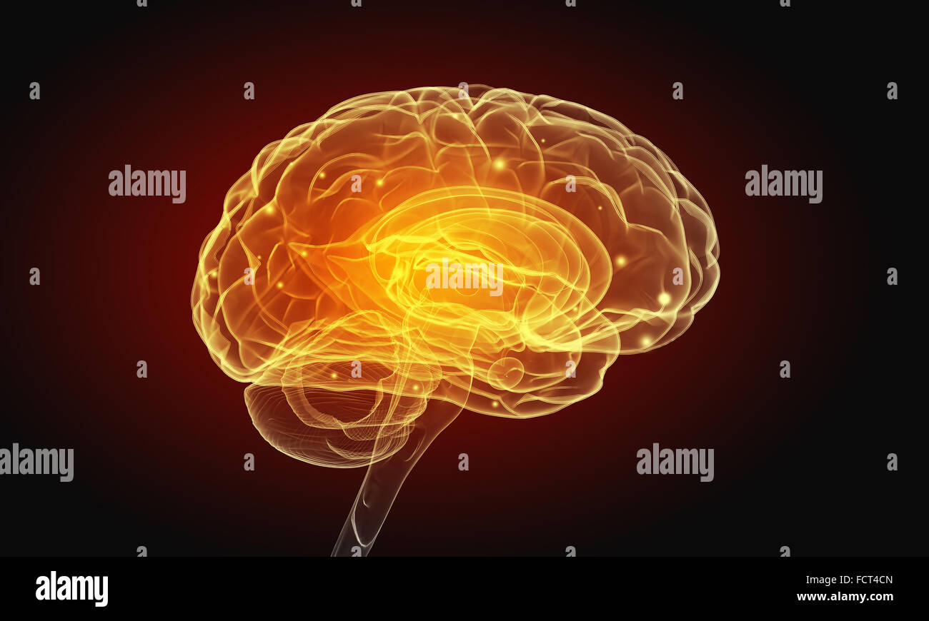 Science image with human brain on dark background Stock Photo - Alamy