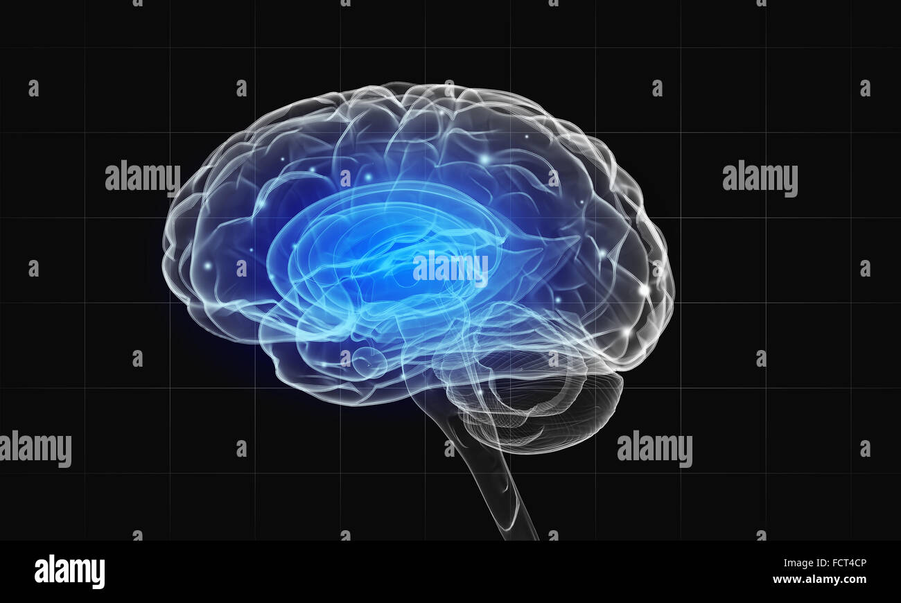 Science image with human brain on dark background Stock Photo - Alamy