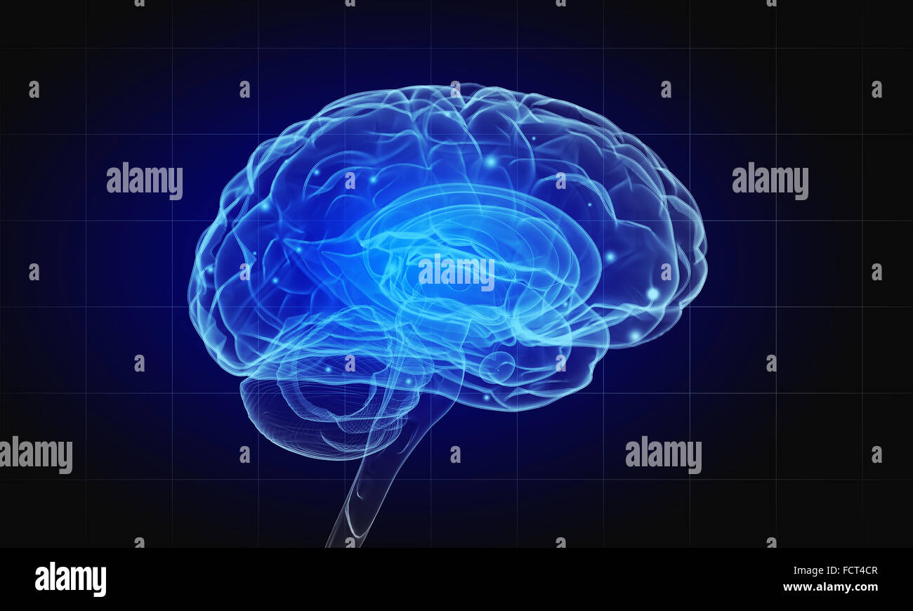 Science image with human brain on dark background Stock Photo - Alamy