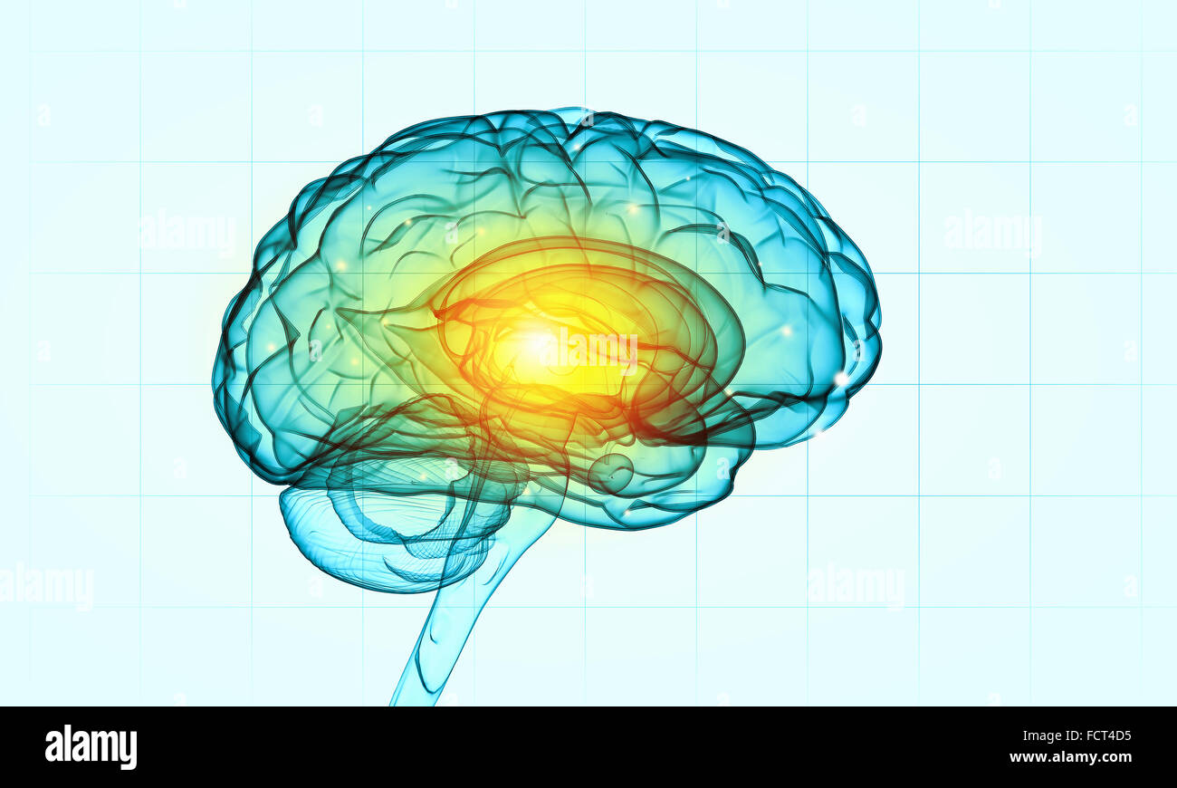 Science image with human brain on white background Stock Photo - Alamy