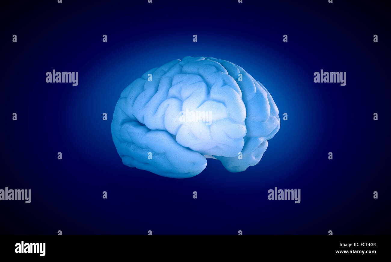 Science image with human brain on blue background Stock Photo - Alamy