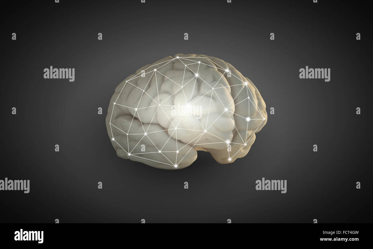 Science image with human brain on gray background Stock Photo - Alamy