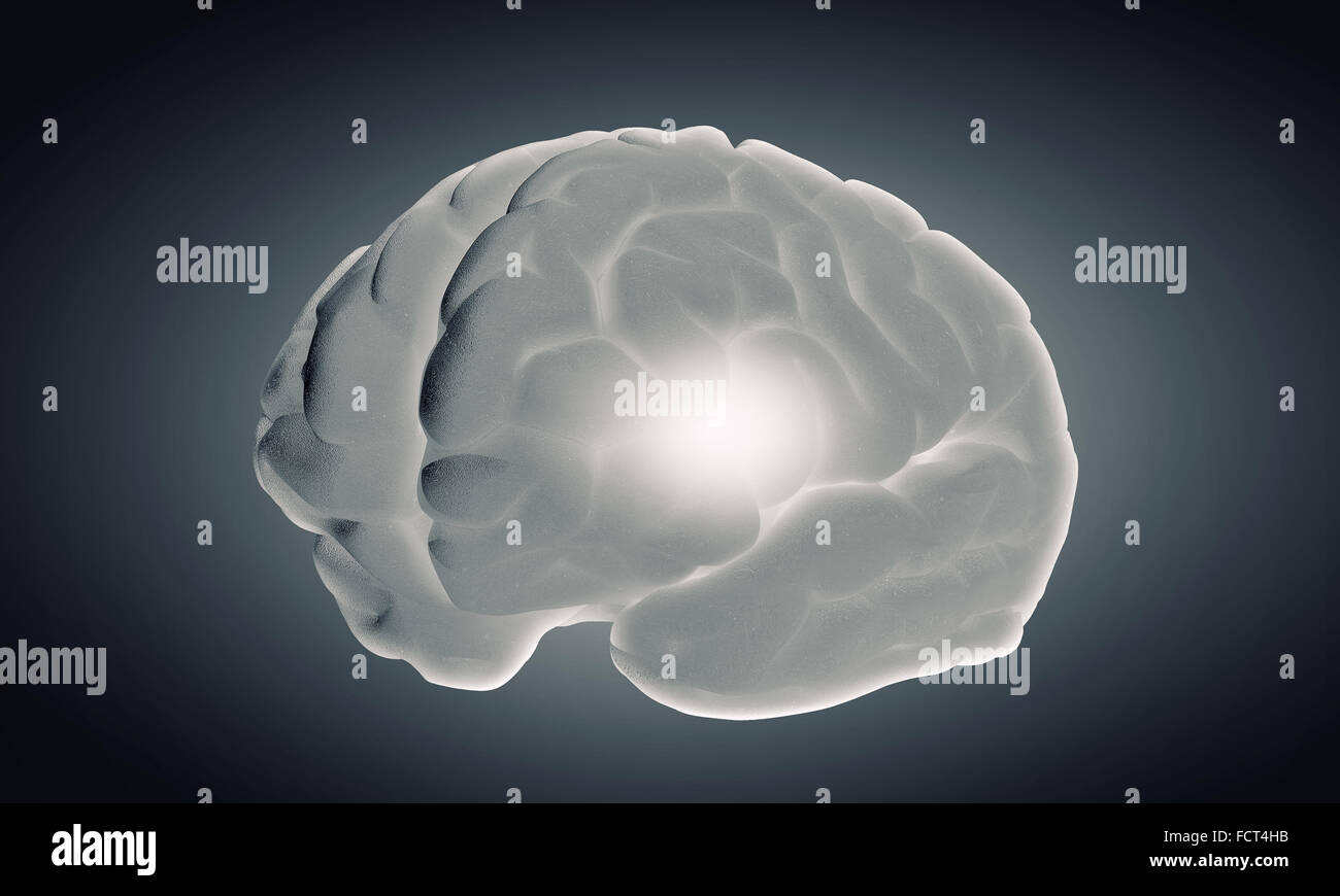 Science image with human brain on gray background Stock Photo - Alamy