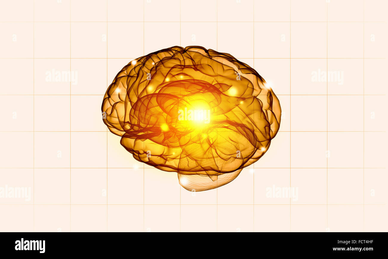 Science image with human brain on white background Stock Photo - Alamy