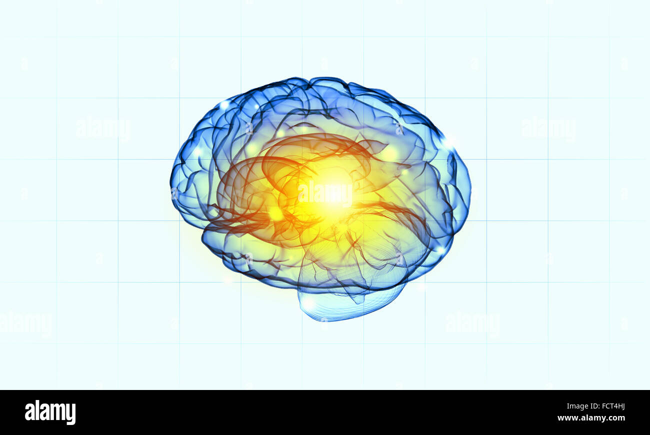 Science image with human brain on white background Stock Photo - Alamy