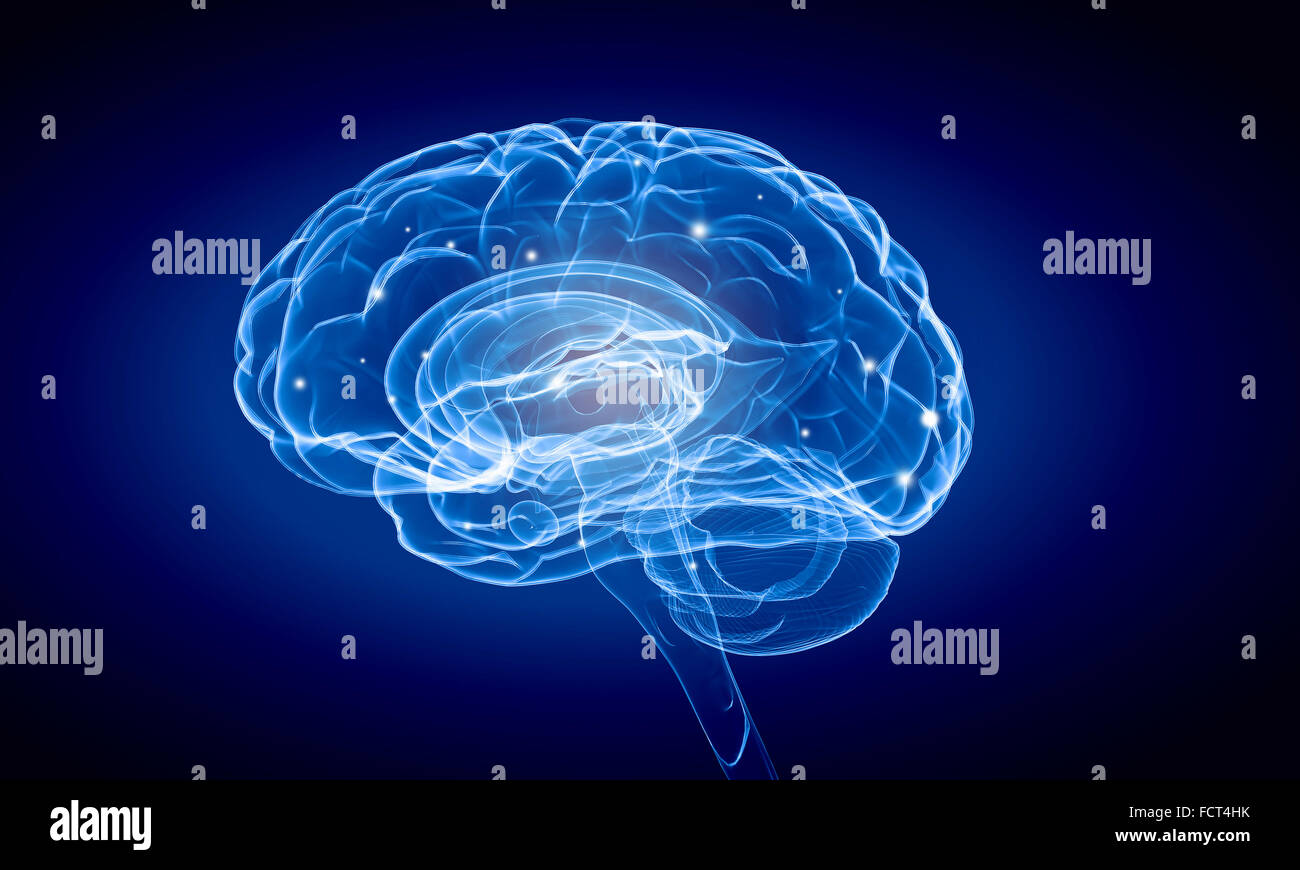 Science image with human brain on blue background Stock Photo - Alamy