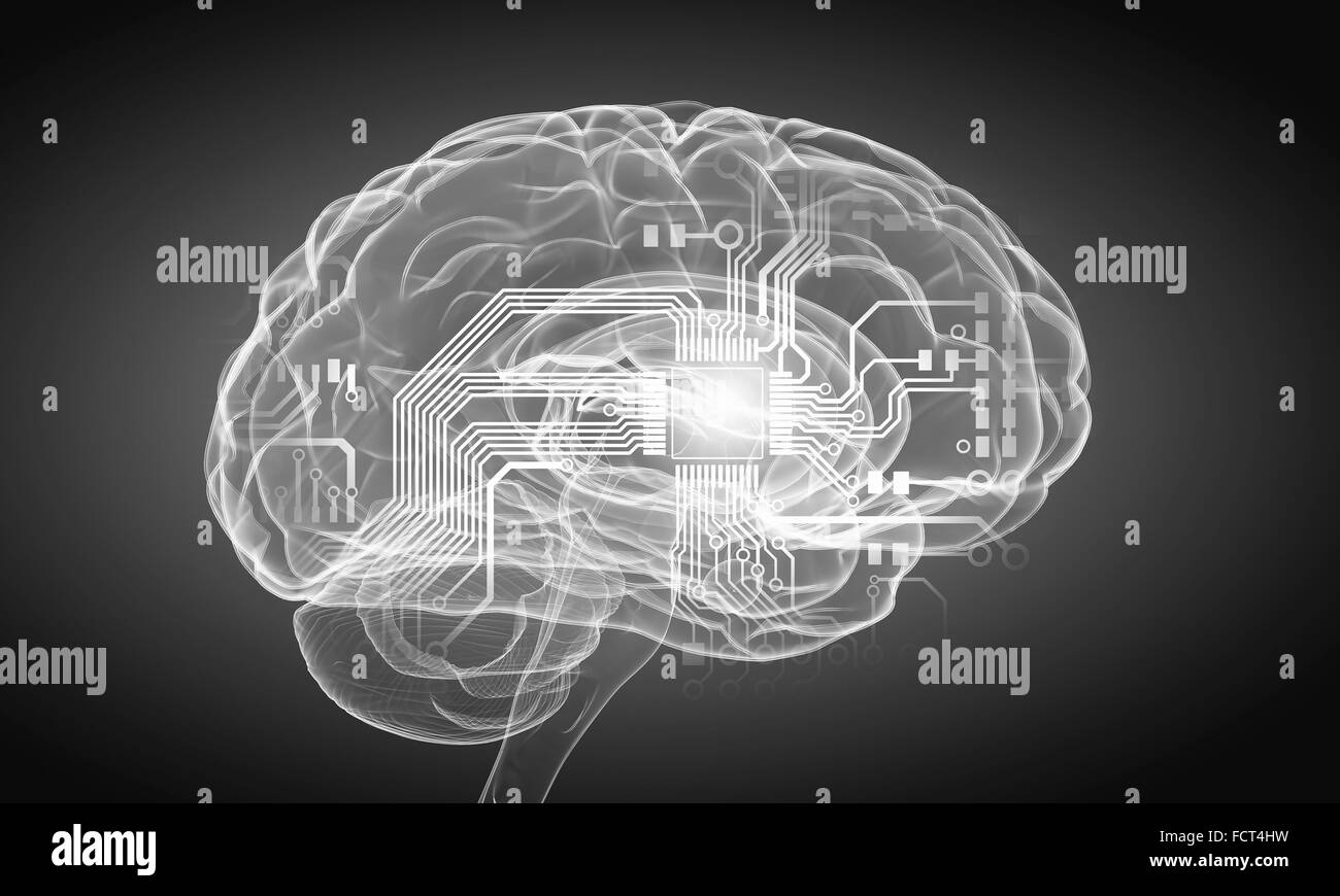 Scientific Background Brain
