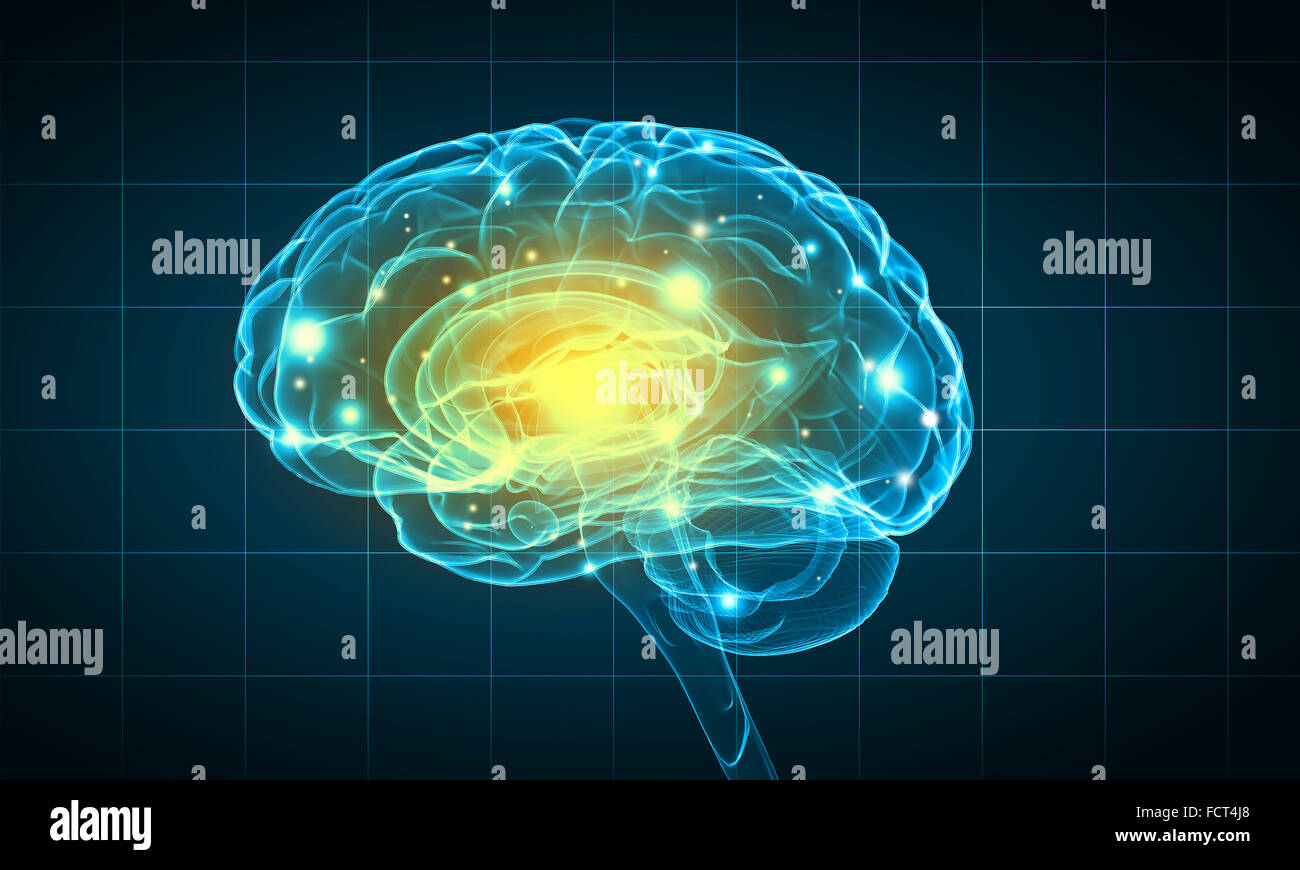 Science image with human brain on blue background Stock Photo - Alamy