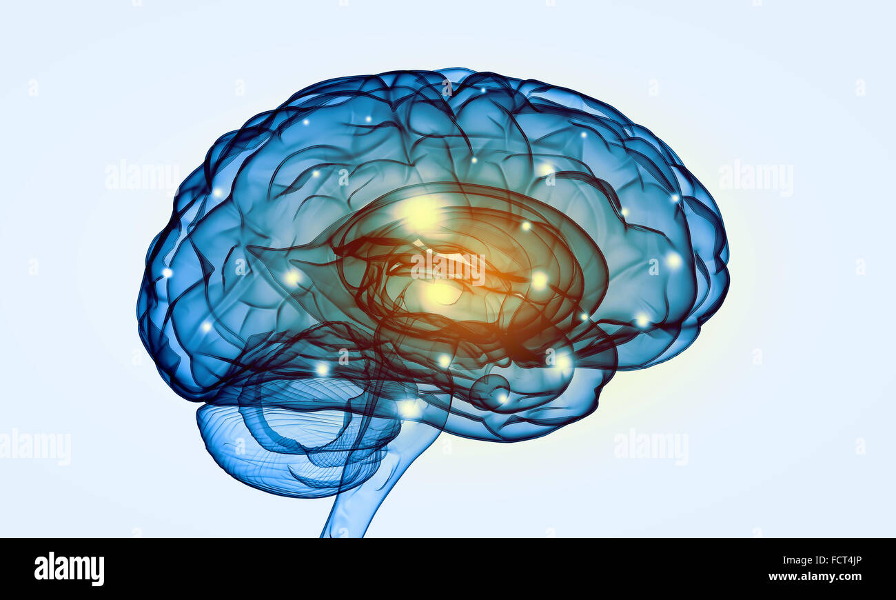 Science image with human brain on white background Stock Photo - Alamy