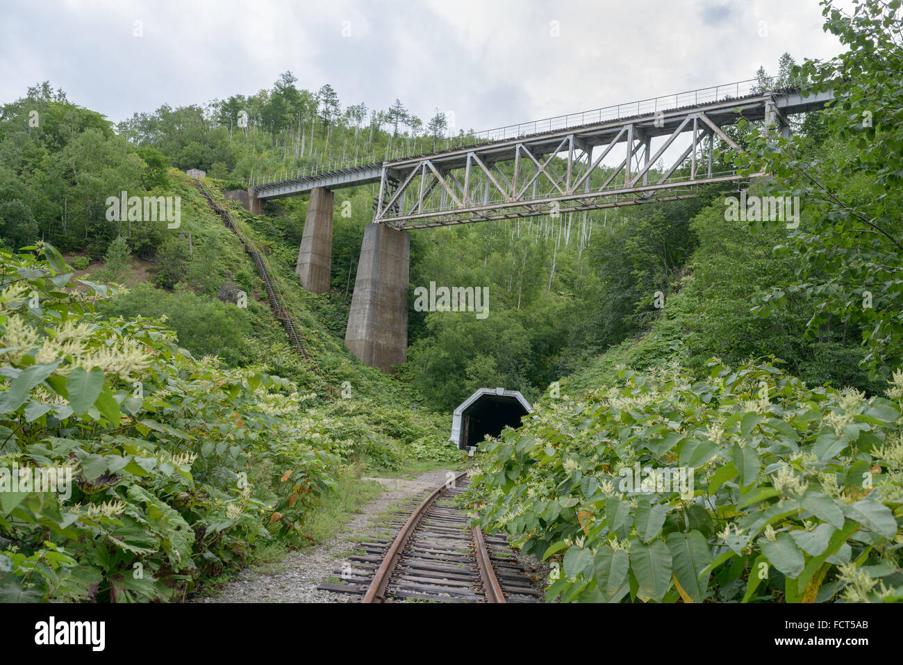 Old Japanese railways and bridges, Sakhalin Island, Russia Stock Photo ...