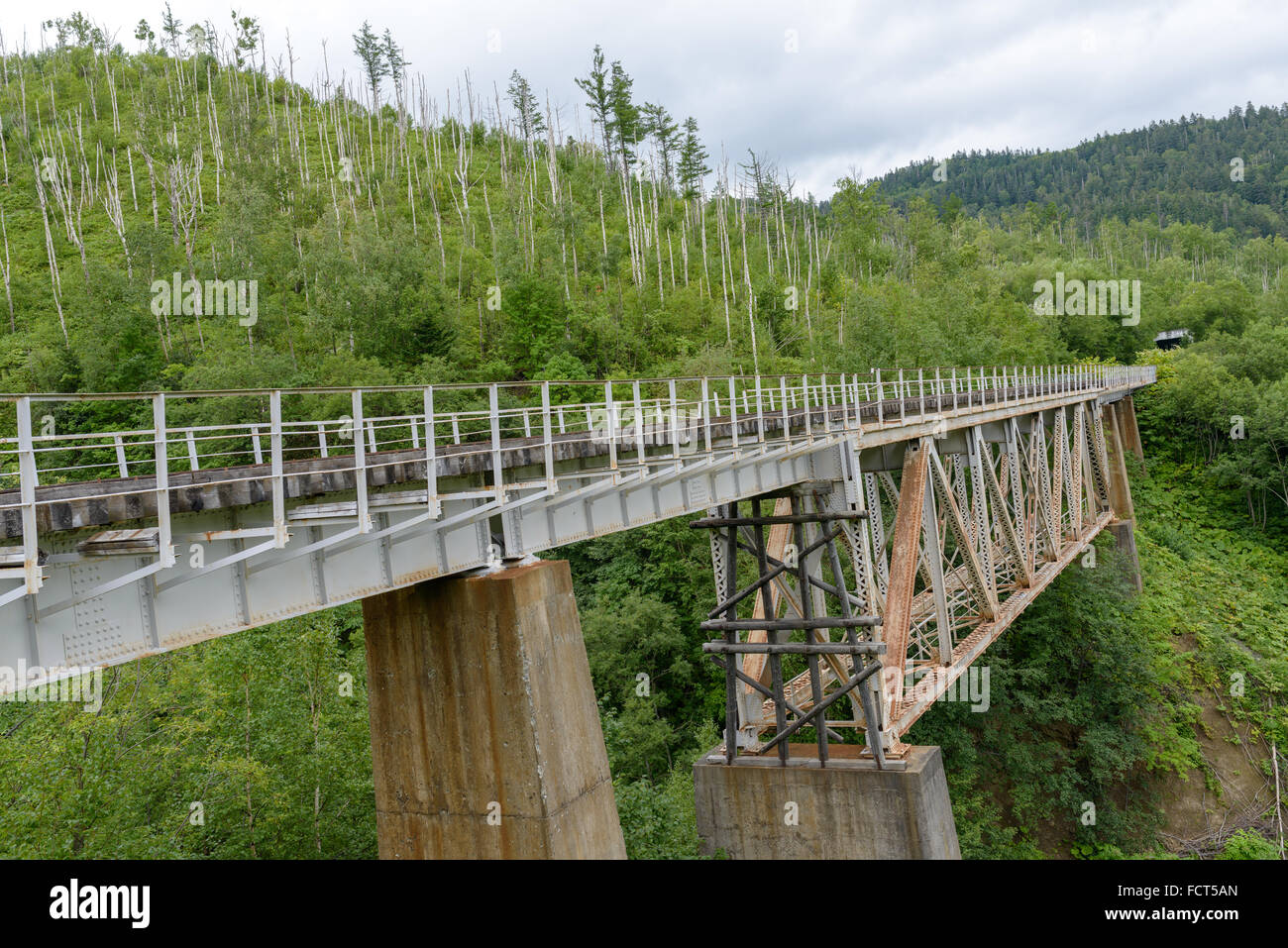 Sakhalin railway hi-res stock photography and images - Alamy