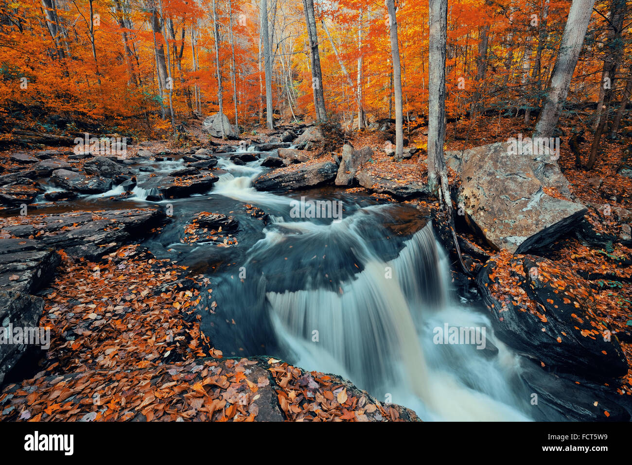 Autumn waterfalls in park with colorful foliage Stock Photo - Alamy