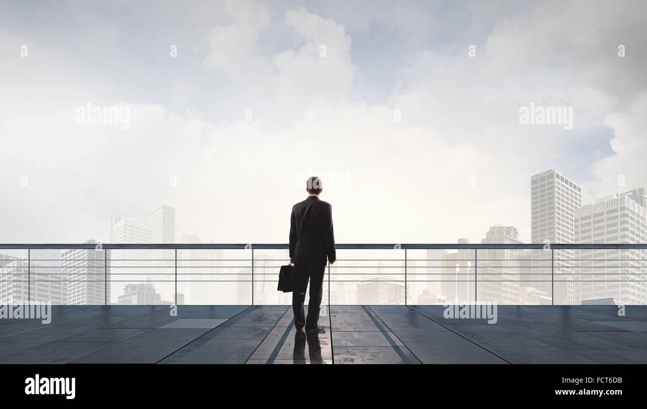 Back view of businessman standing on roof looking at city Stock Photo ...