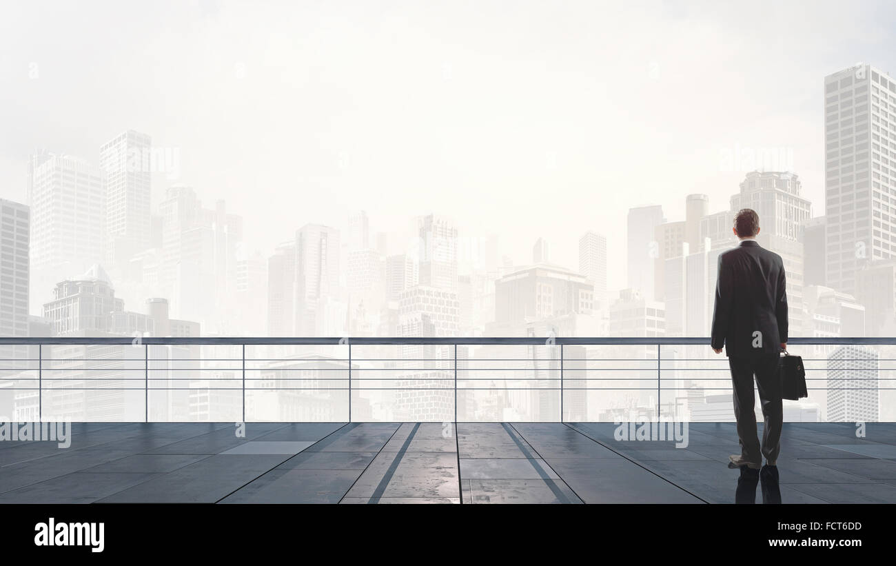 Back view of businessman standing on roof looking at city Stock Photo ...
