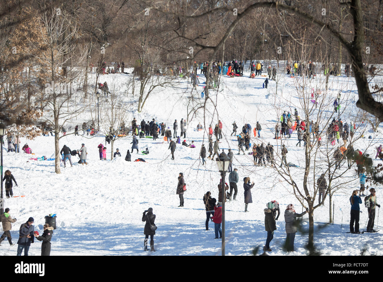 New York City, United States. 24th Jan, 2016. Wide view of Prospect ...