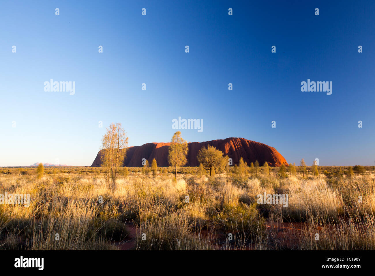 Majestic Uluru at sunrise on a clear winter's morning in the Northern ...