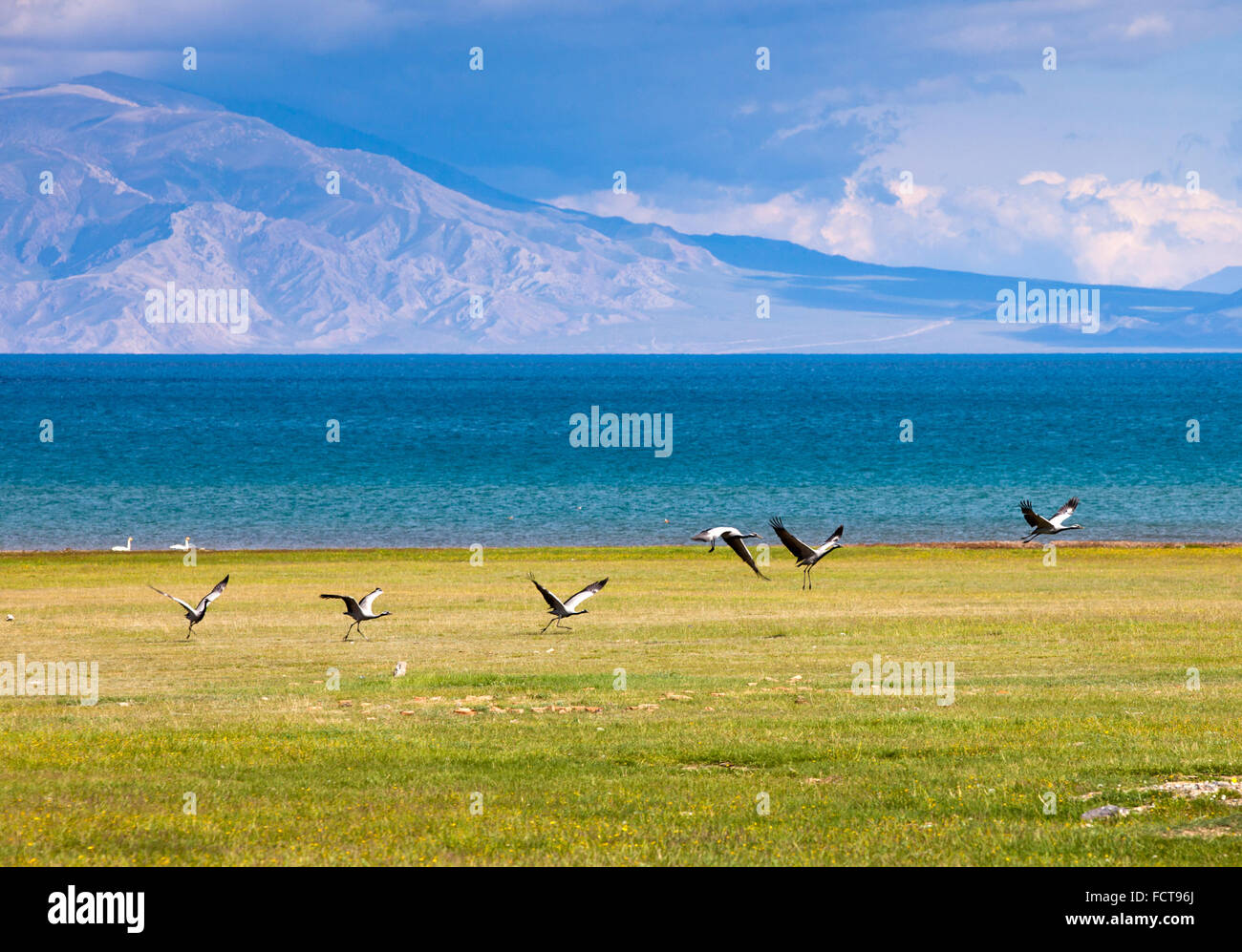 Sailimu lake hi-res stock photography and images - Alamy