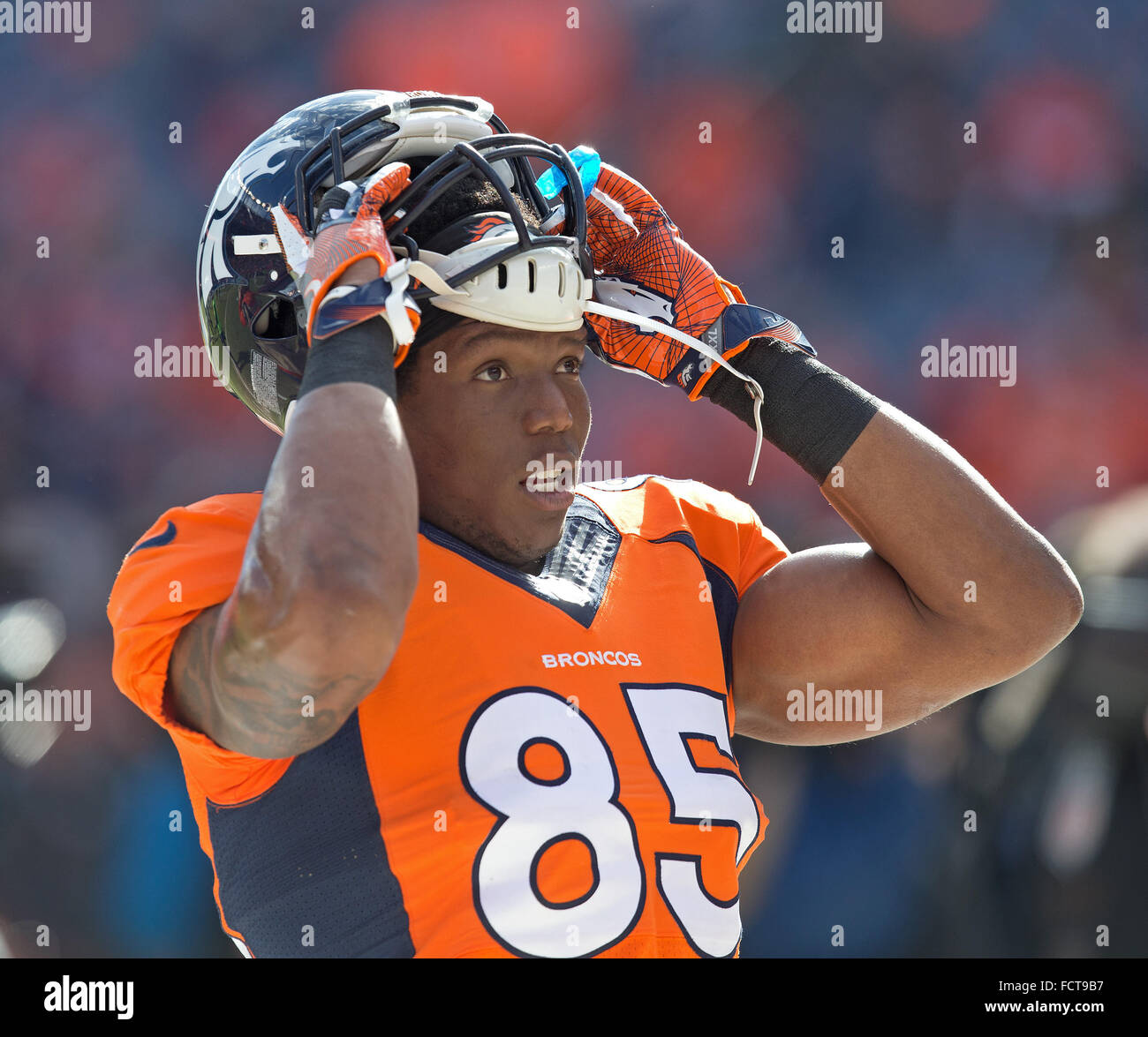 Denver, Colorado, USA. 24th Jan, 2016. Broncos TE VIRGIL GREEN readies ...